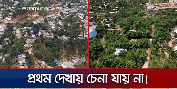 Jamuna TV Report : Afforestation efforts transform the landscape of ...